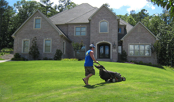 Best Lawn Care & Lawn Maintenance in Little Rock
